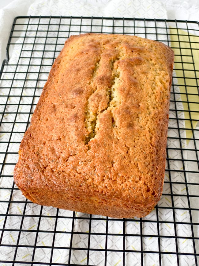 Citroen Maanzaad Cake (Lemon Poppy seed) | Recept | Betty's Kitchen