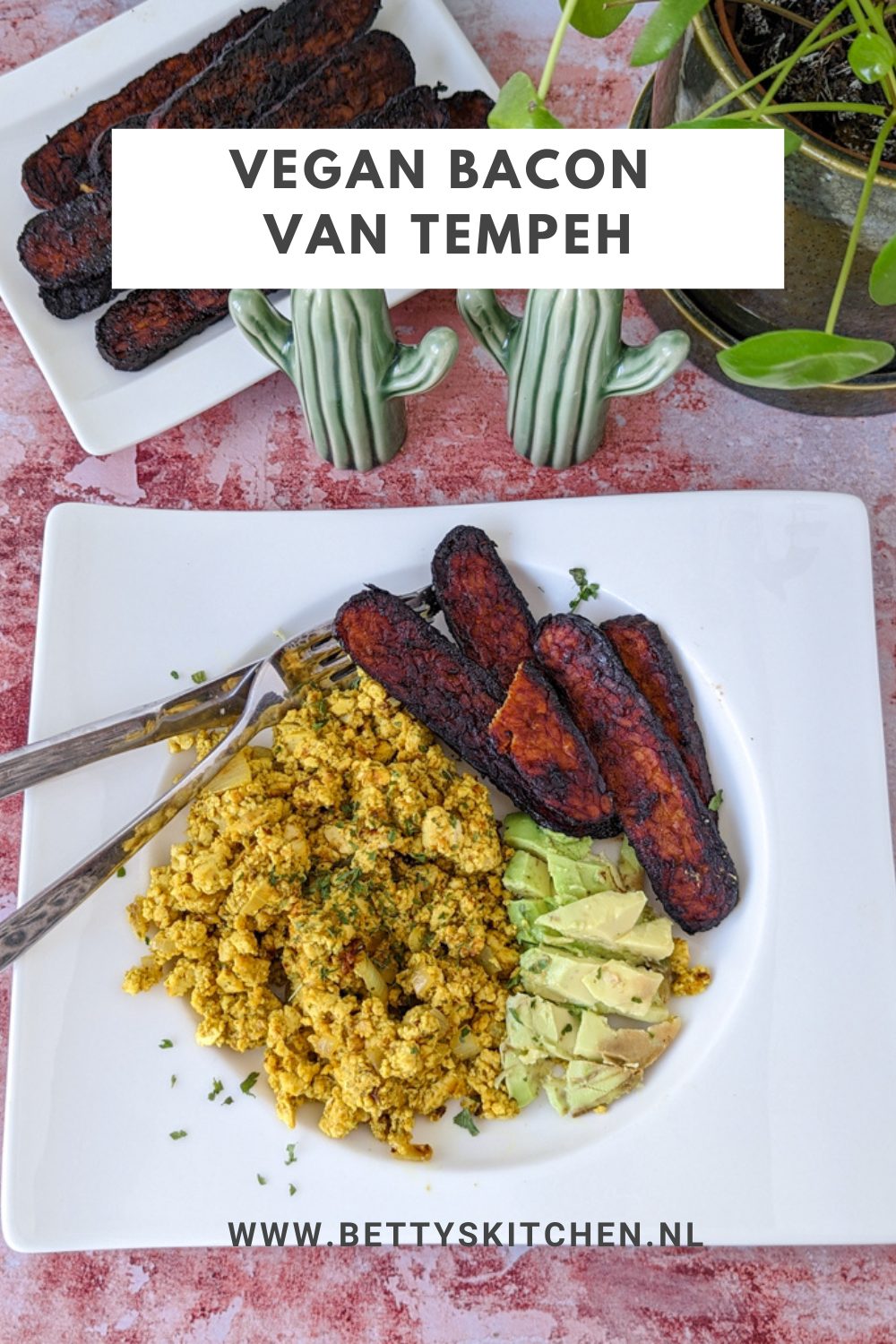 Vegan Bacon van Tempeh • Betty's Kitchen