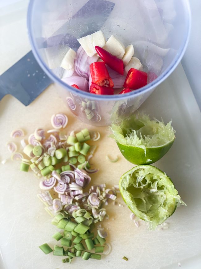 Indonesische kipsate (Sate Ajam) | Recept | Betty's Kitchen