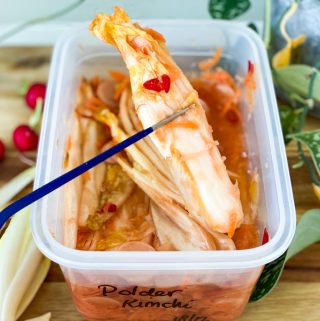 Zelf Polderkimchi met witlof maken | Recept | Betty's Kitchen