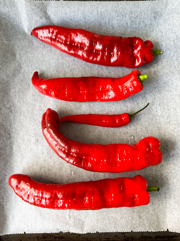 Pittige Peper Pasta (Biber Salcasi) | Recept | Betty's Kitchen