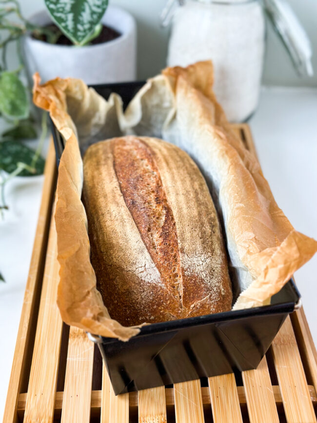 Speltbrood met zuurdesem maken • Betty's Kitchen