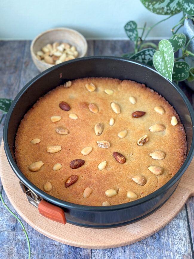Basbousa griesmeelcake | Recept | Betty's Kitchen