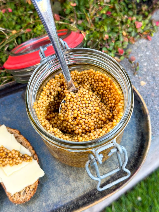 Zelf Mosterd Kaviaar maken • Betty's Kitchen